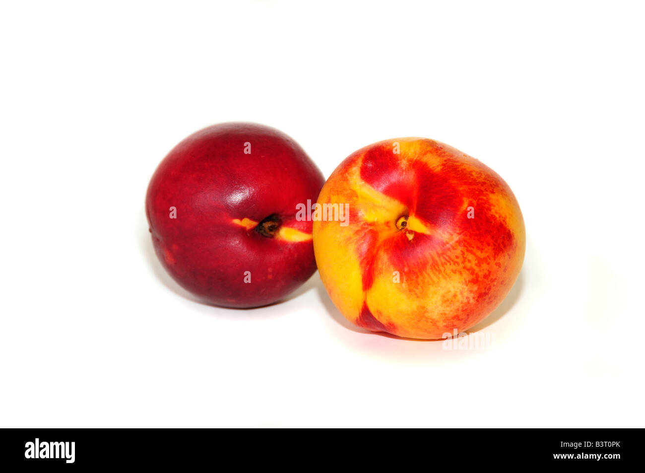 Two ripe whole nectarines on white Stock Photo - Alamy