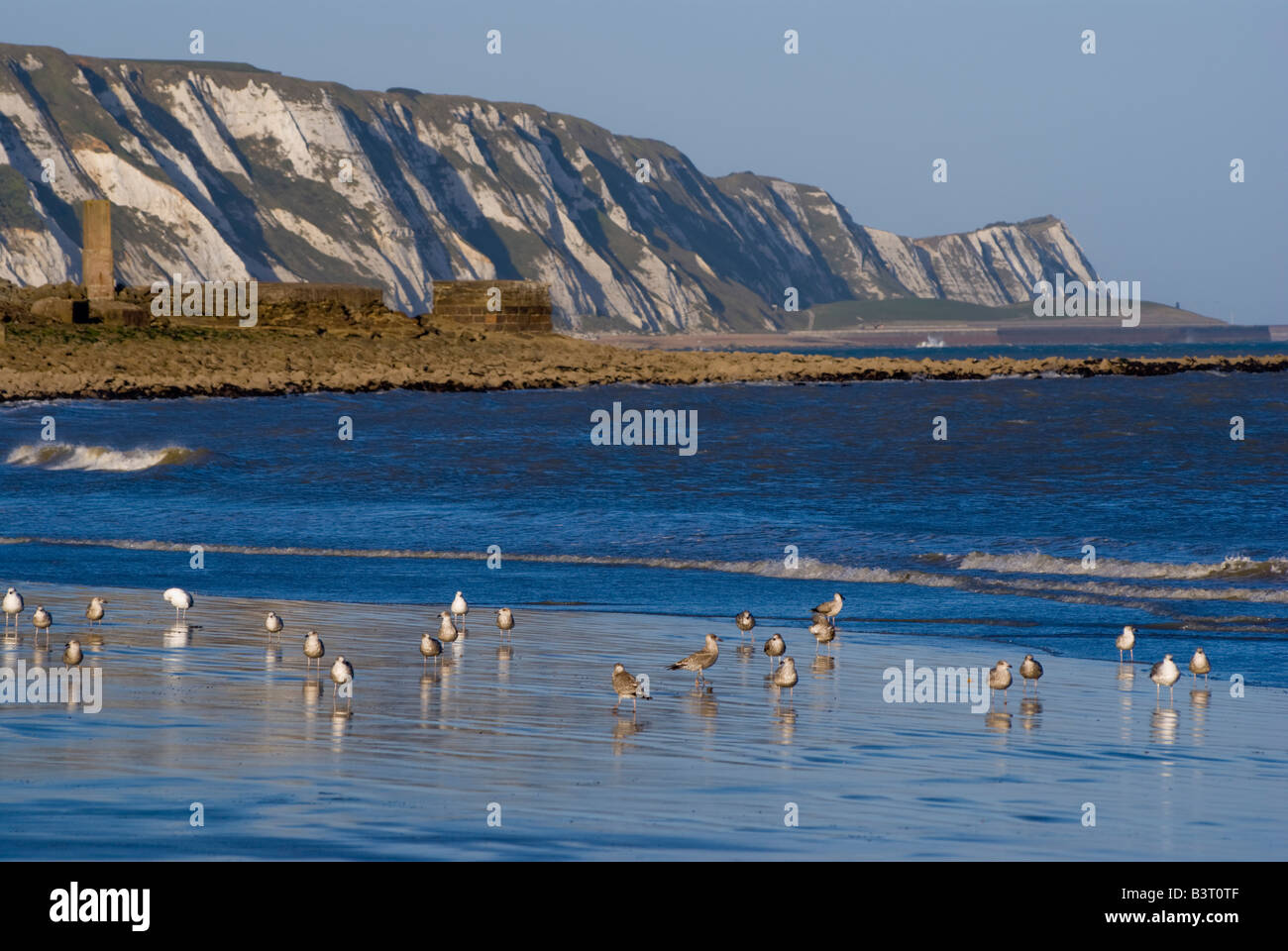 Europe UK england kent folkstone beach Stock Photo - Alamy