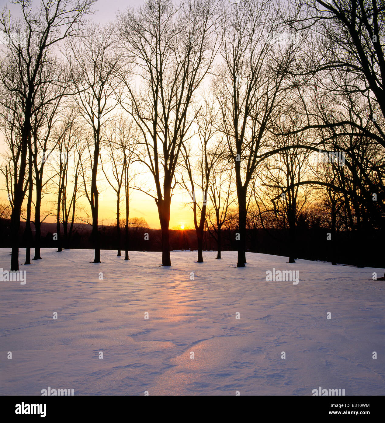 WINTER SUNSET OVER SNOWY FIELD, VALLEY FORGE NATIONAL HISTORIC PARK ...