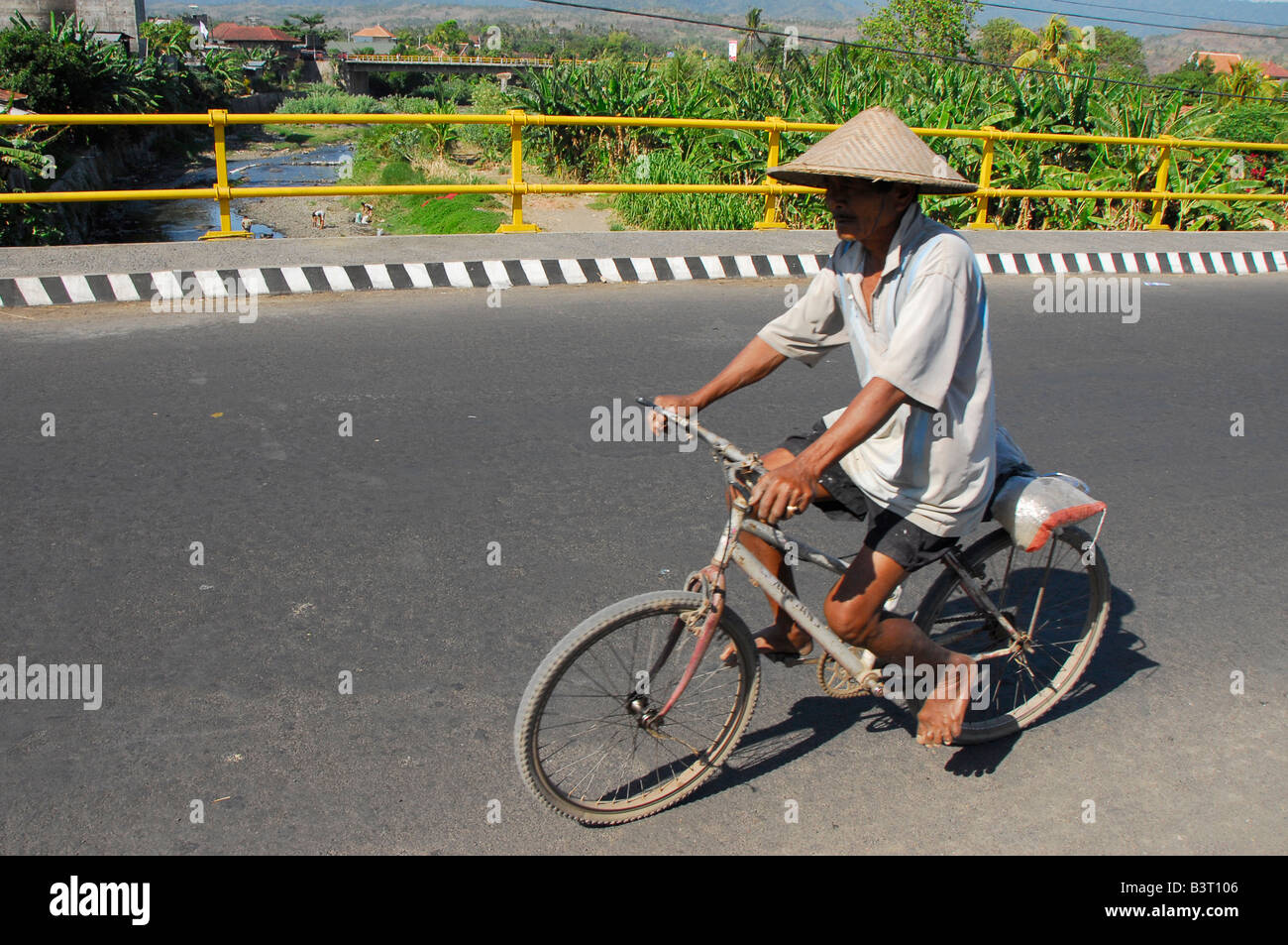 local balinese riding his bicycle between wanasari and penebel, central ...