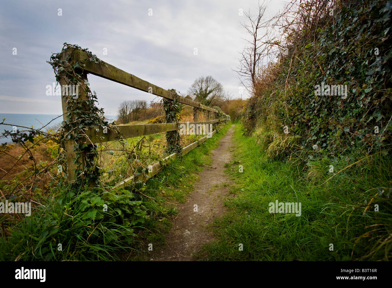 Fence along path, Ireland, Europe Stock Photo - Alamy