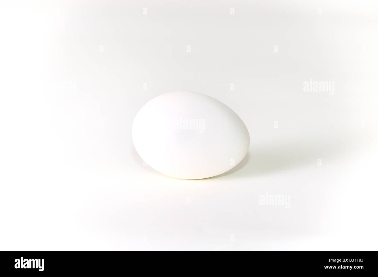 A silo of one egg in the shell against a white background Stock Photo ...