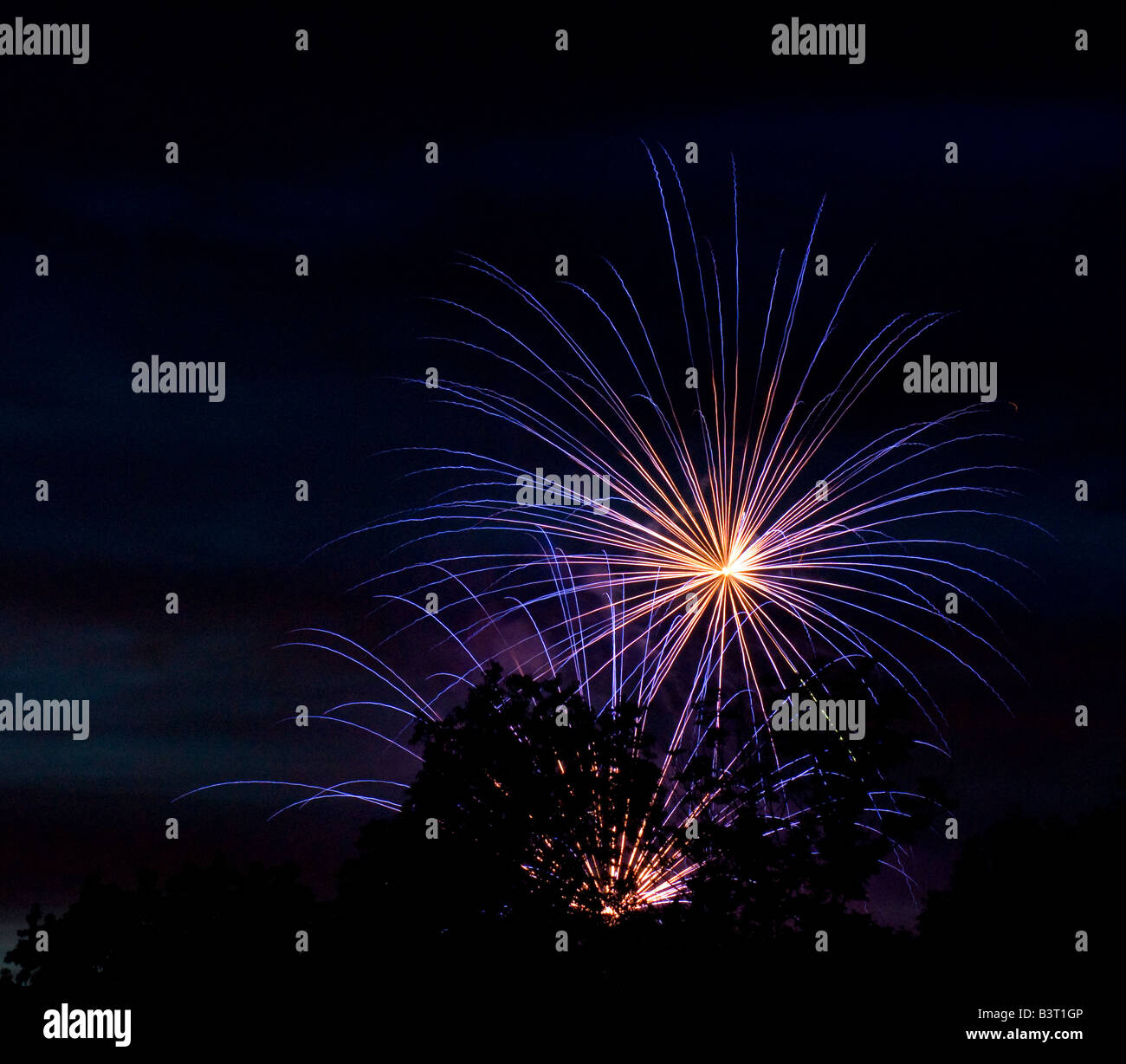 Fireworks over silhouetted trees Stock Photo - Alamy