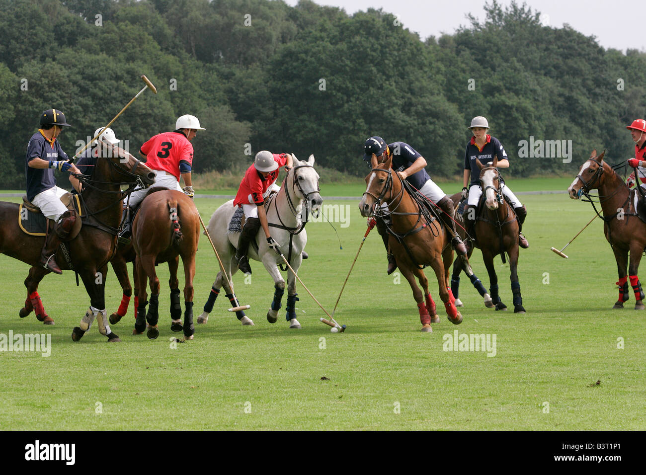 Polo tournament match sports horseback rider horse riding motion man ...
