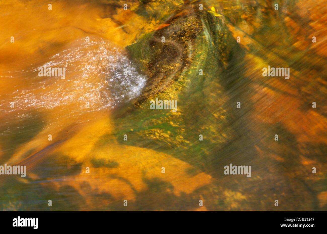 Freshwater rivulet hi-res stock photography and images - Alamy