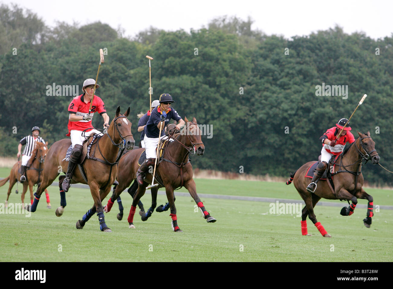 Polo mallet hi-res stock photography and images - Alamy