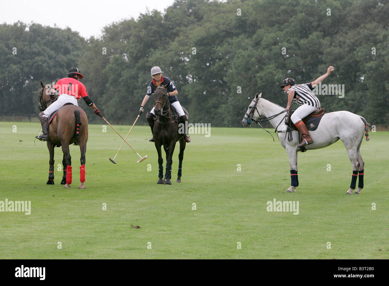Polo tournament match sports horseback rider horse riding motion man ...