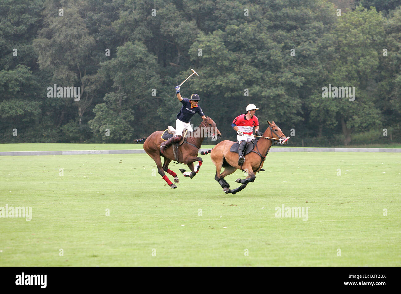 Polo tournament match sports horseback rider horse riding motion man ...