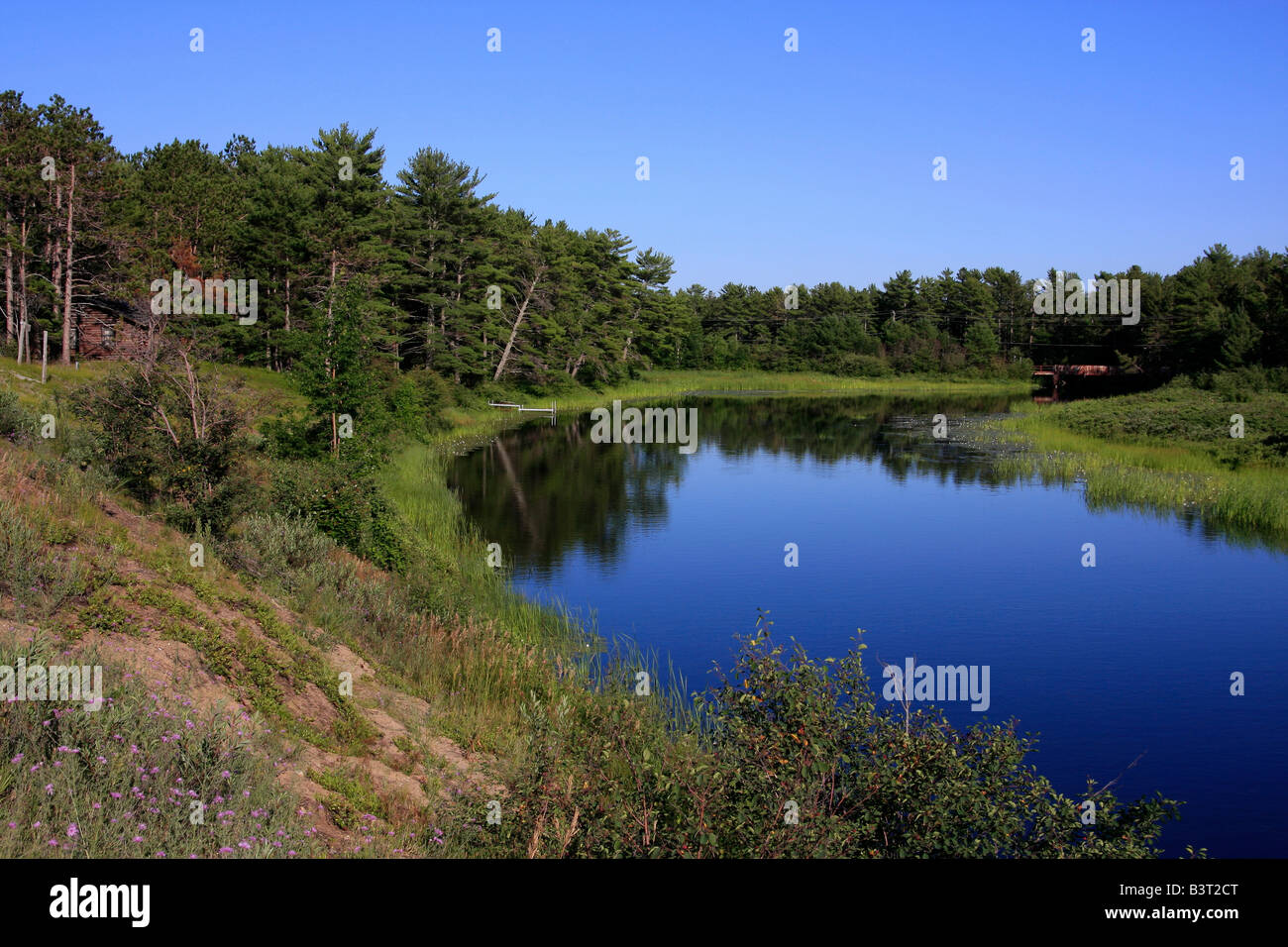 Alger hi res hi-res stock photography and images - Alamy