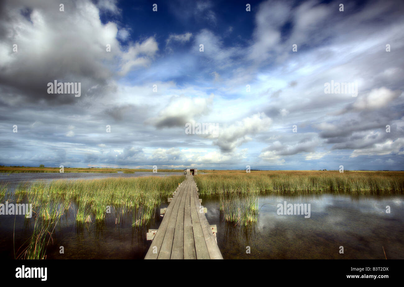 Last mountain lake saskatchewan hi-res stock photography and images - Alamy
