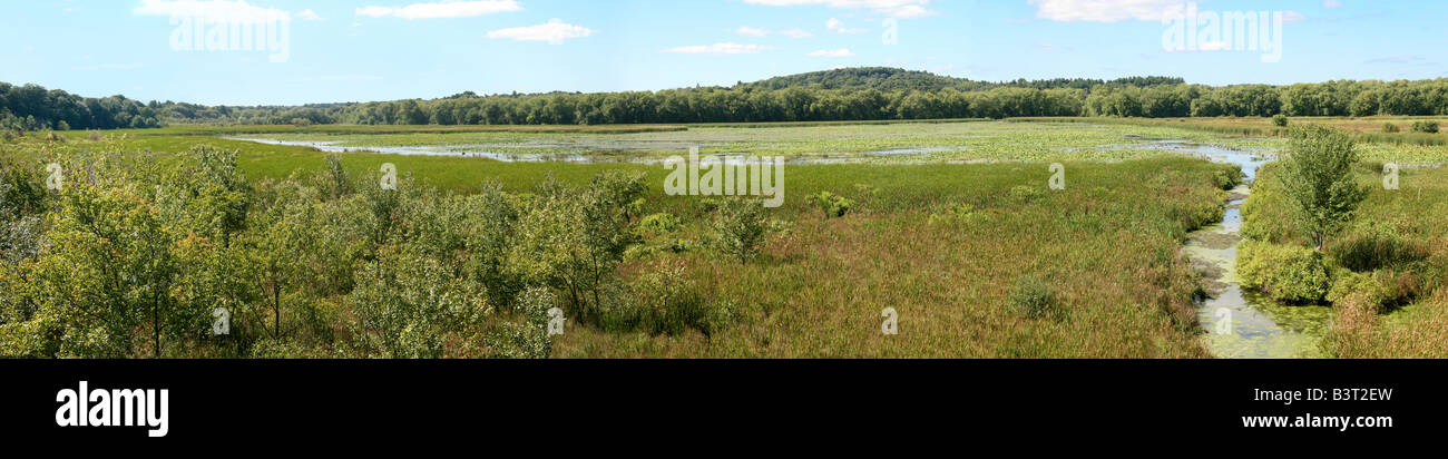 Panoramic view of marsh at Great Meadows National Wildlife Refuge ...