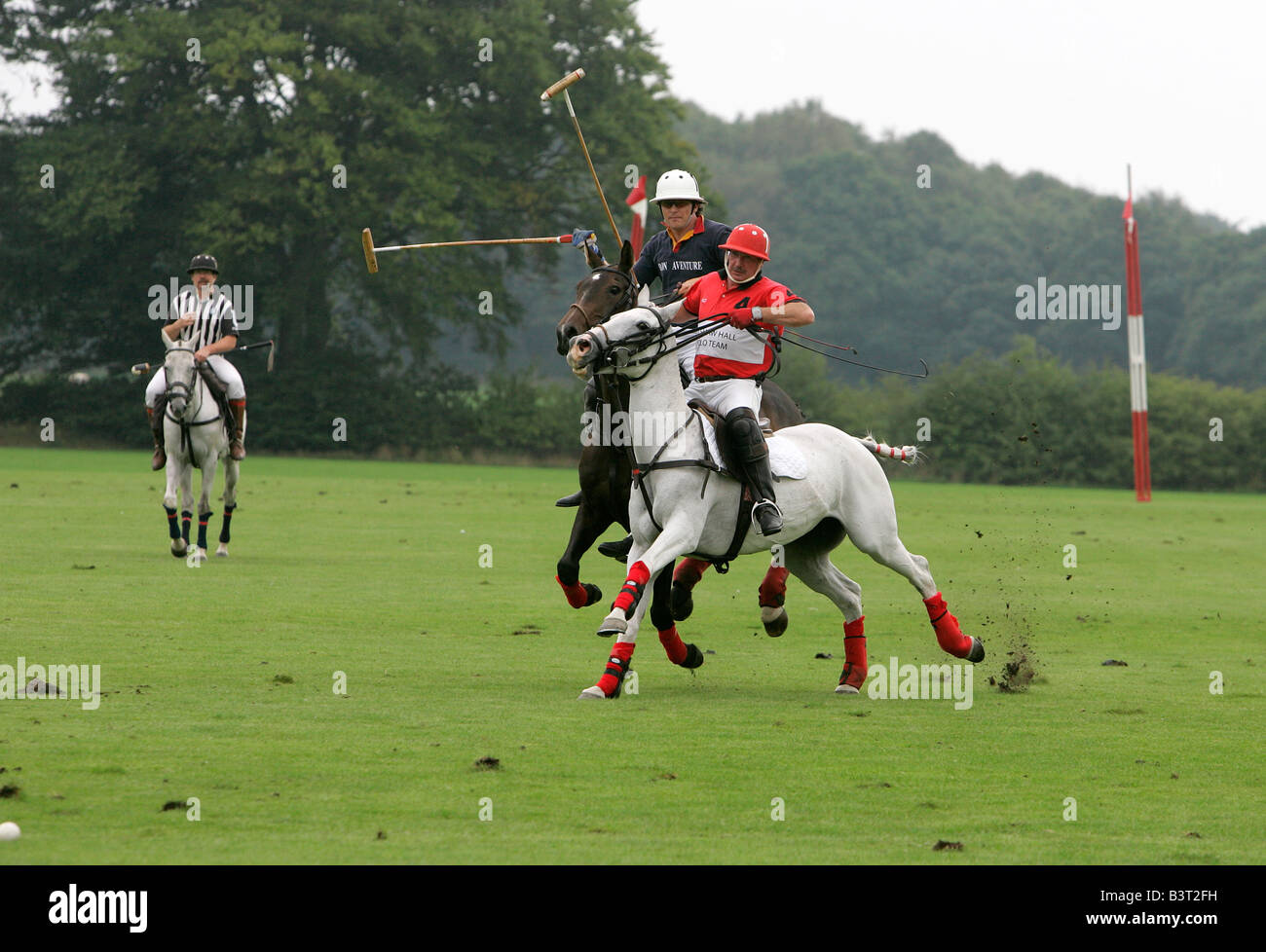 Polo tournament match sports horseback rider horse riding motion man ...