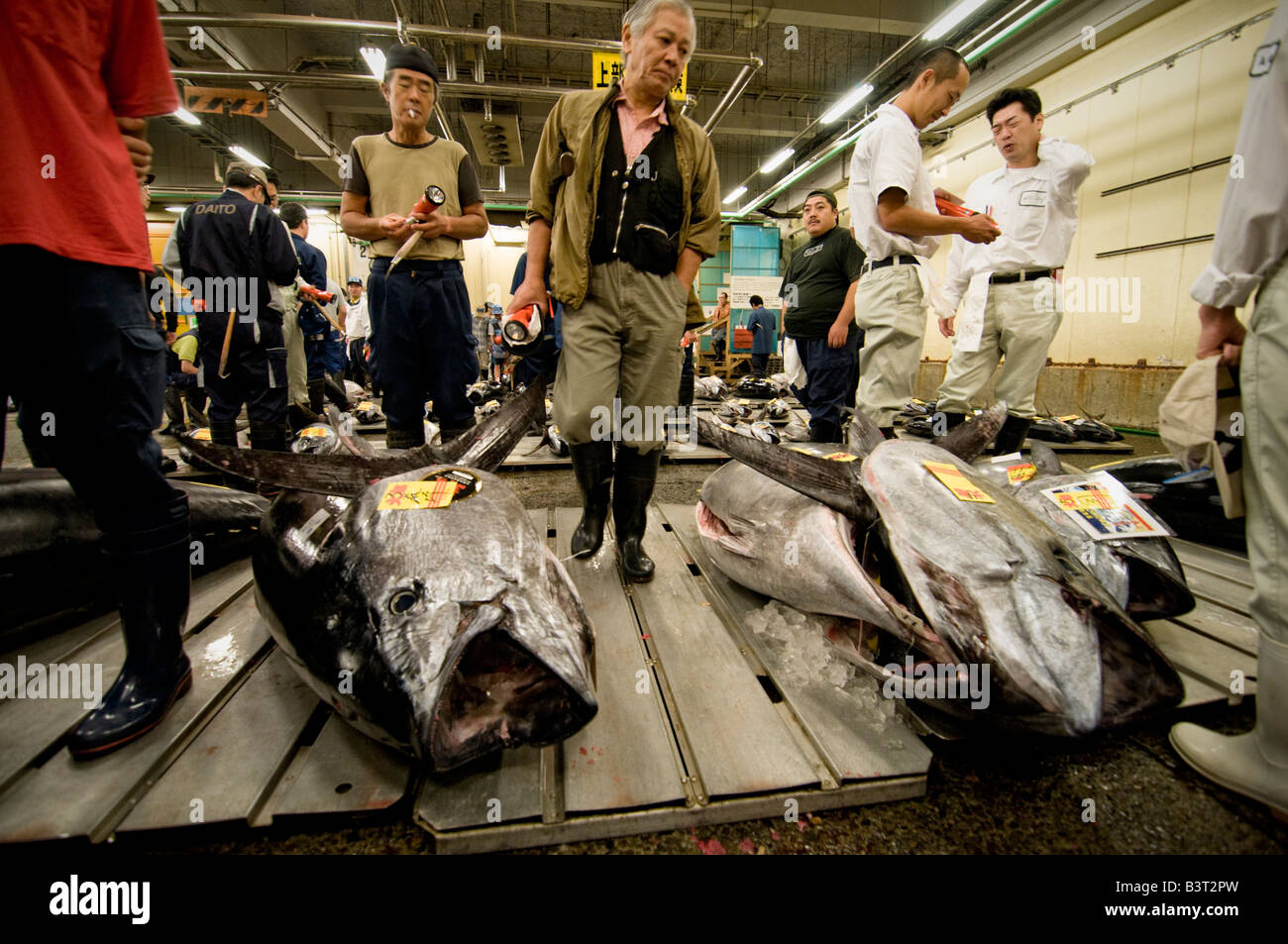 Tsukiji Fish Market Stock Photo - Alamy