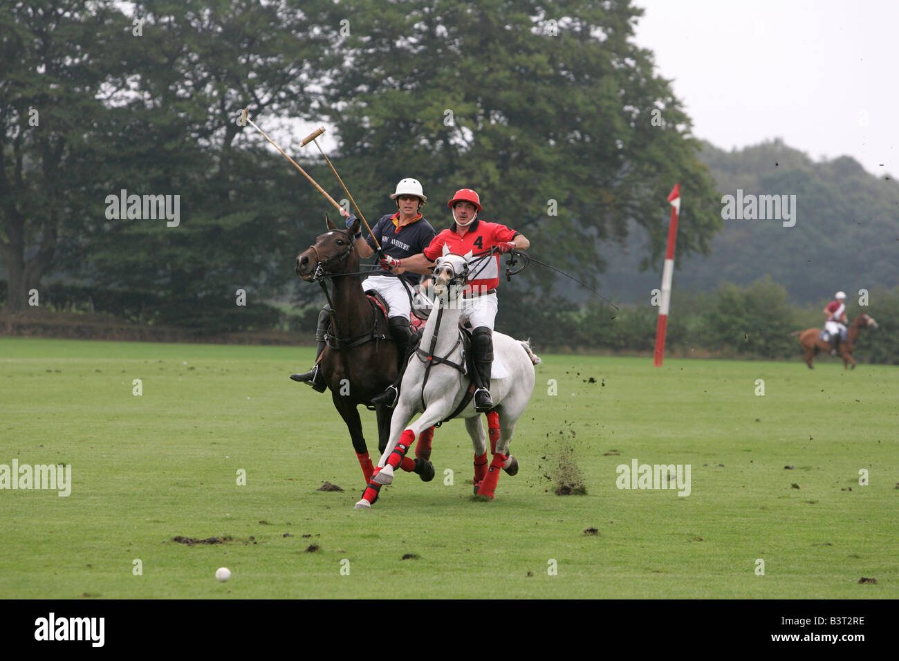 Polo tournament match sports horseback rider horse riding motion man ...
