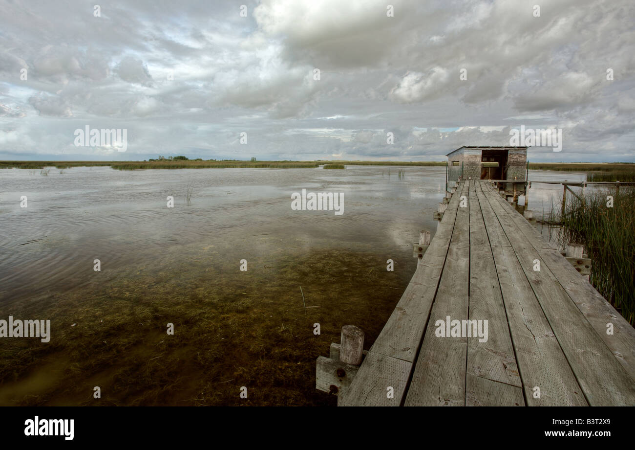 Scenic view of Saskatchewan marshes Stock Photo - Alamy