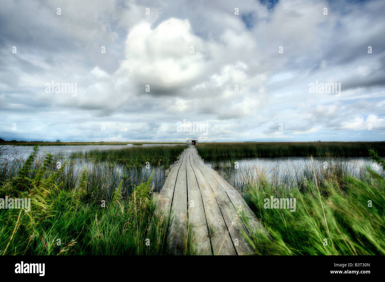 Scenic view of Saskatchewan marshes Stock Photo - Alamy