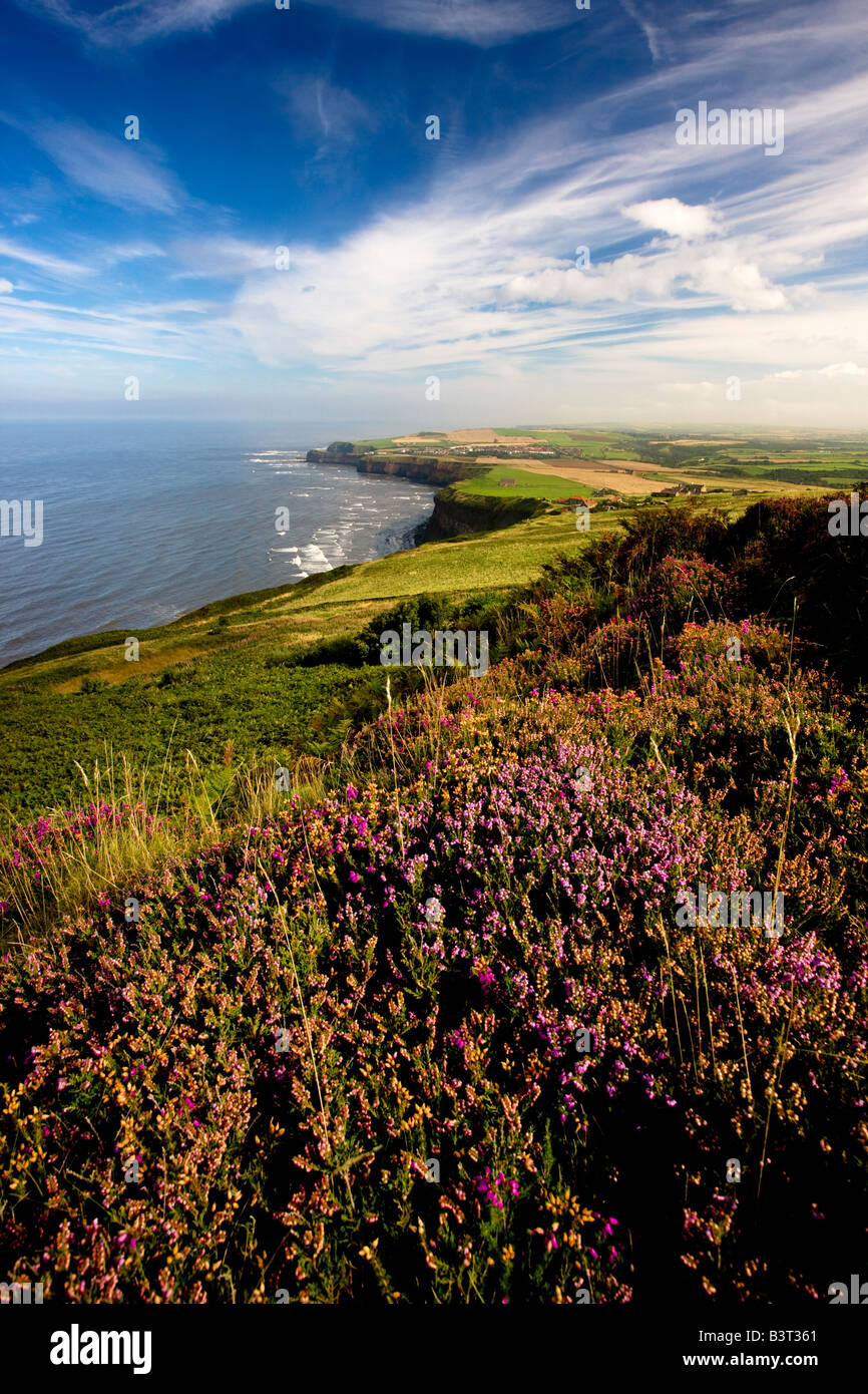 Boulby Cliffs North Yorkshire Coast High Resolution Stock Photography ...