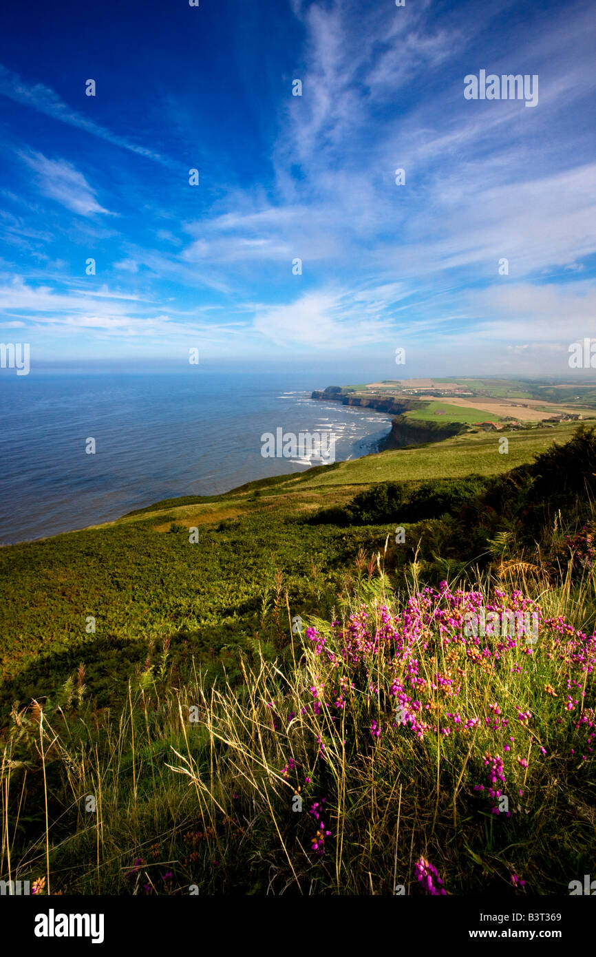 Boulby Cliffs High Resolution Stock Photography and Images - Alamy