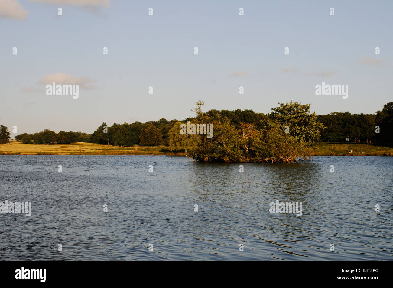 Pen Pond Richmond Park Surrey UK Stock Photo - Alamy