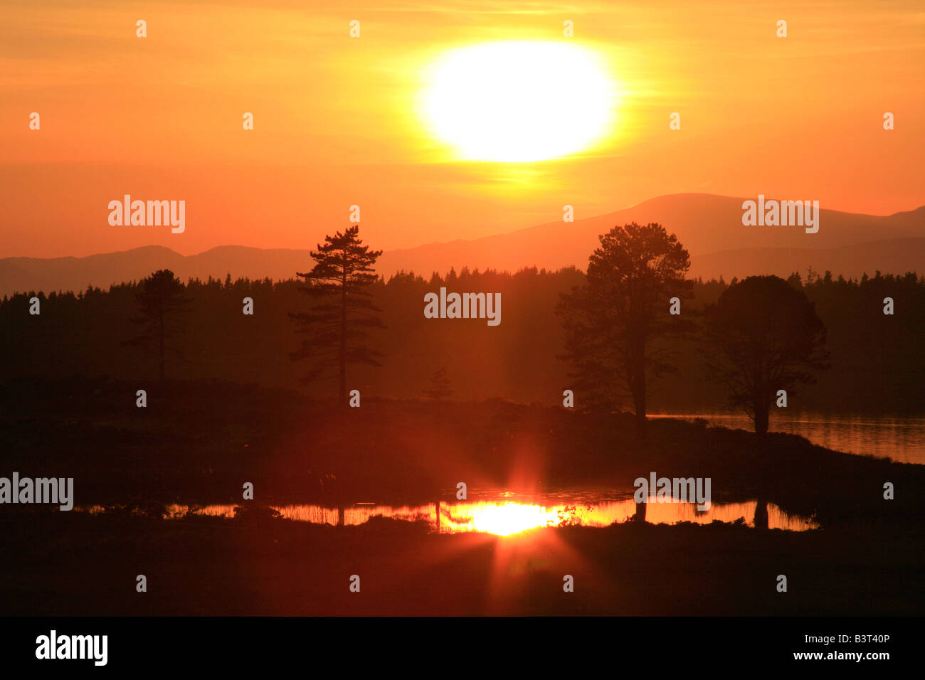 Kerry outline hi-res stock photography and images - Alamy