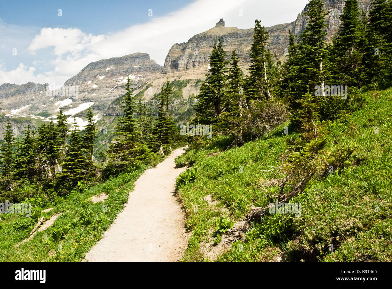 a view from Highline Trail near Logan Pass in Glacier National Park ...