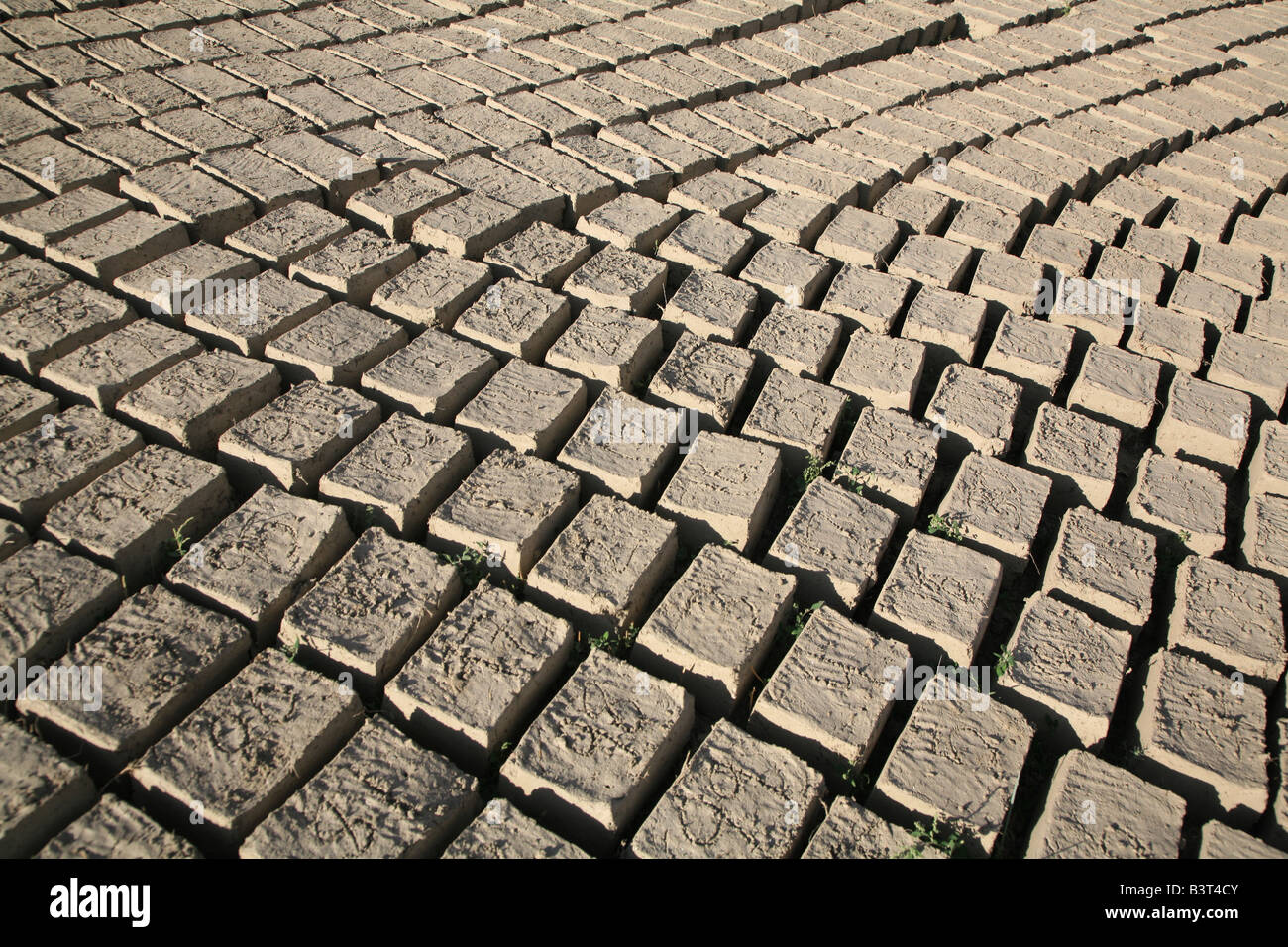 Hand made bricks drying in the sun in Askoli, Pakistan Stock Photo - Alamy