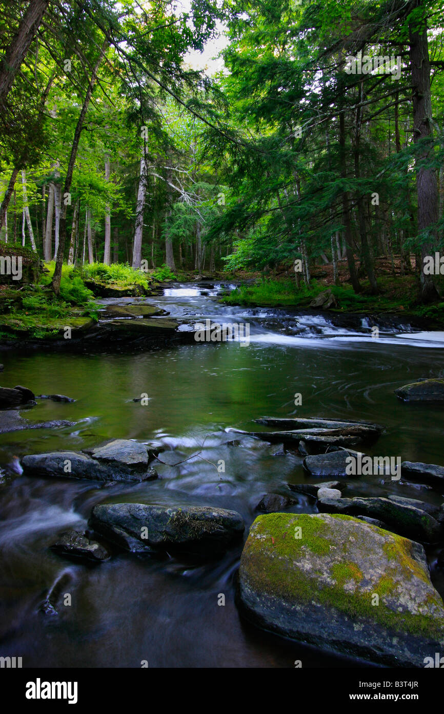 Laughing Whitefish River Michigan wild rustic stream in USA hi-res ...