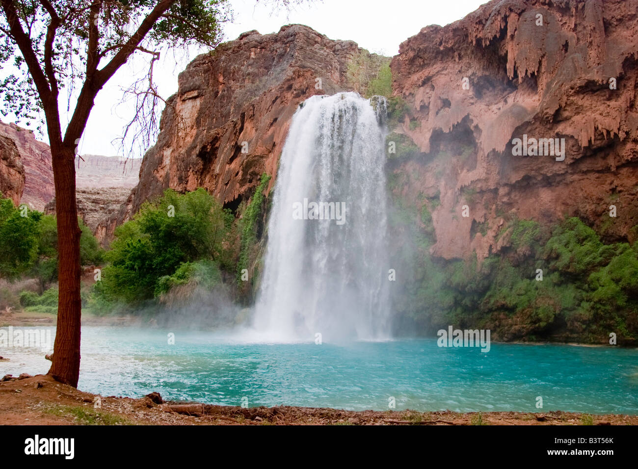 Havasu Waterfalls in Supai in the Grand Canyon Stock Photo - Alamy