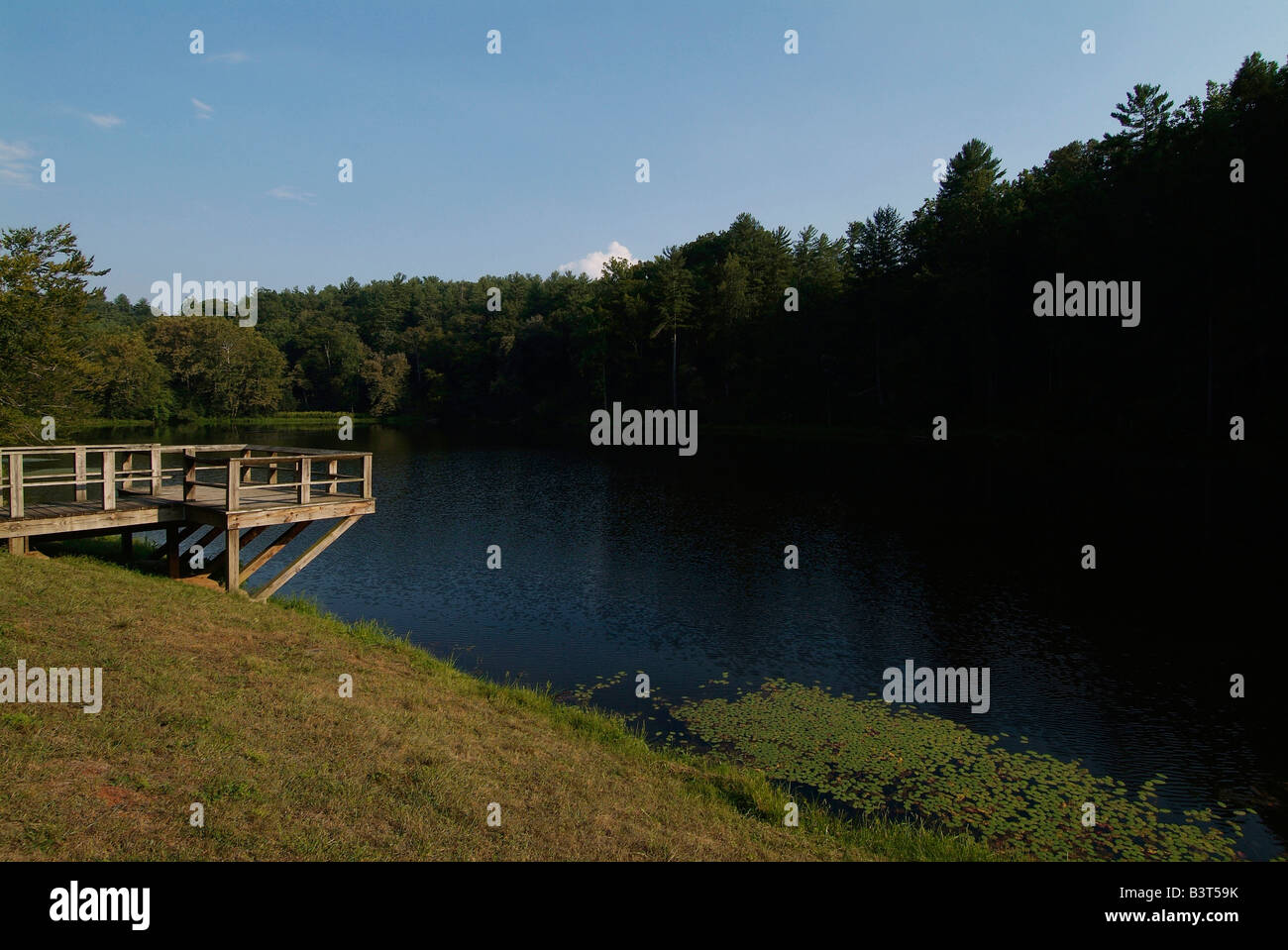 Beaver pond ,blue ridge mountains Stock Photo - Alamy