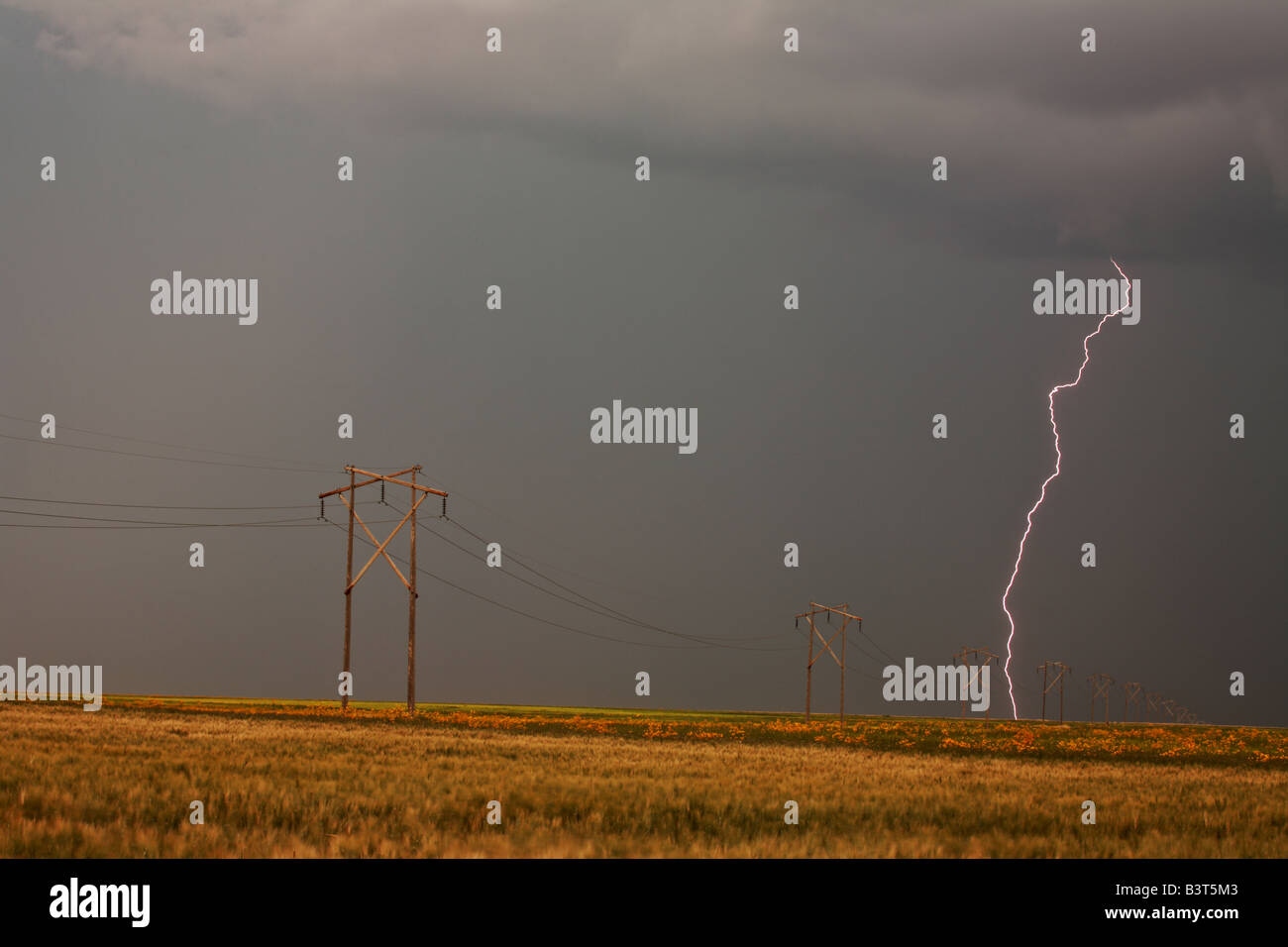 Lightning striking behind Saskatchewan power line Stock Photo - Alamy