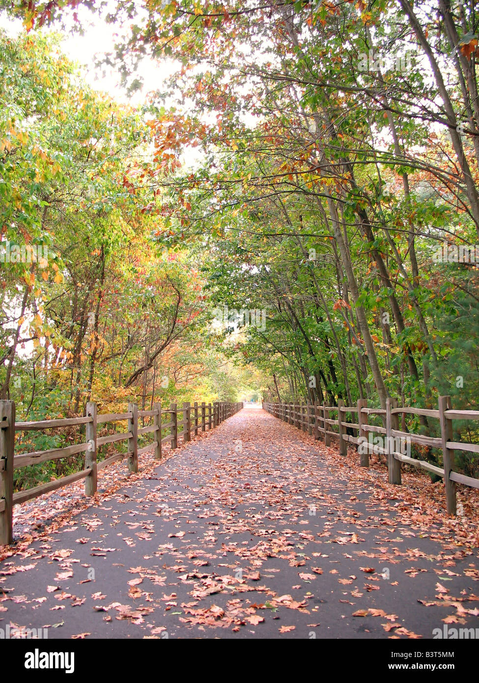 A community walking path that goes through the woods in Farmington CT ...