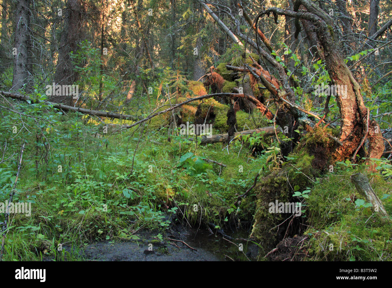 Lowery park hi-res stock photography and images - Alamy