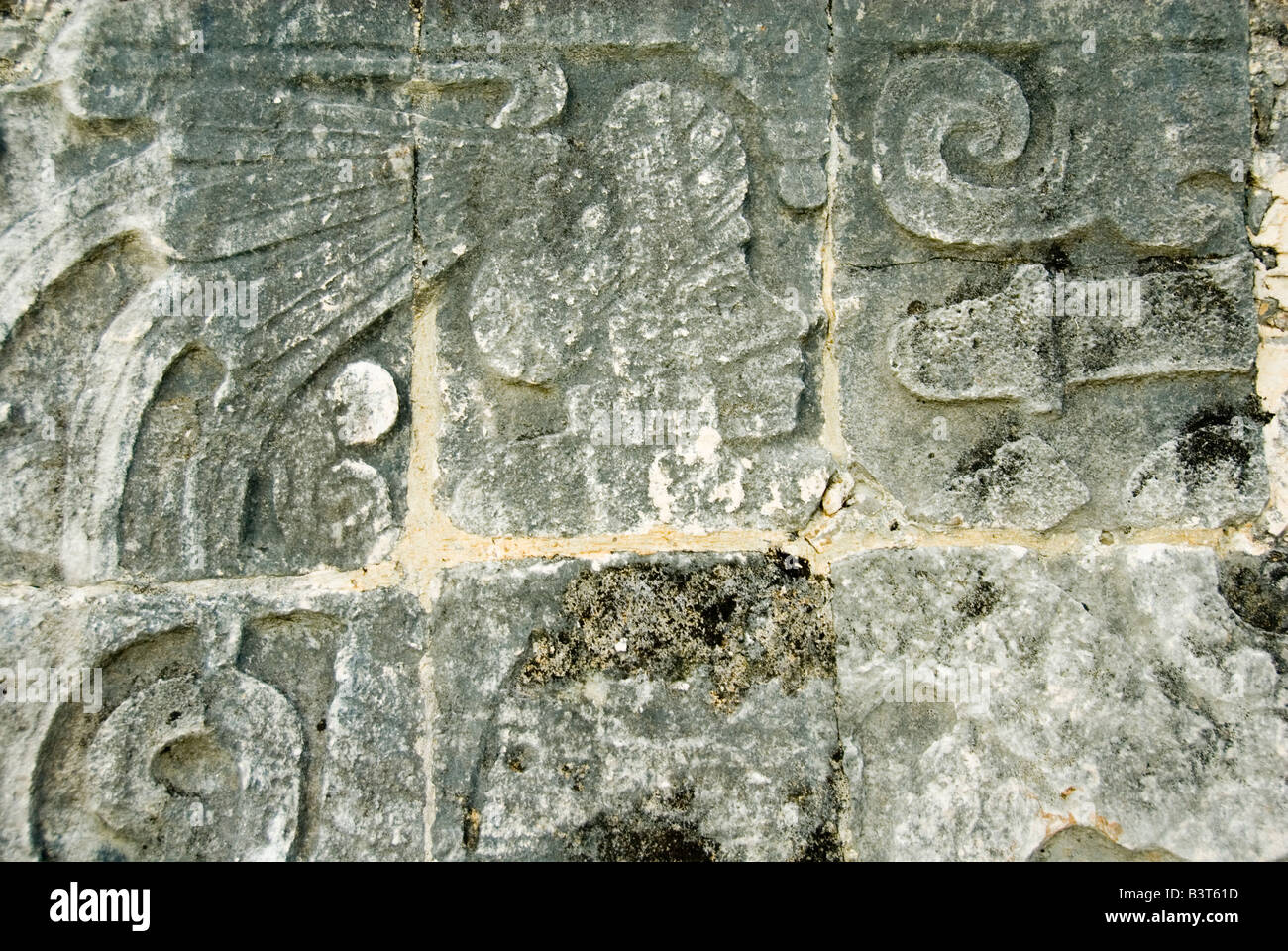 Carving Detail Head Of Mayan Man With Headress And Phallic Symbol