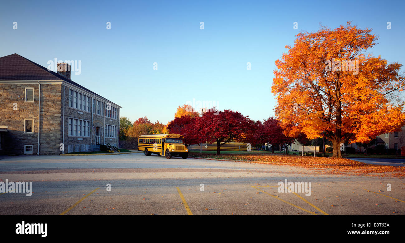 School bus at an elementary school. A large oak tree is in full autumn ...