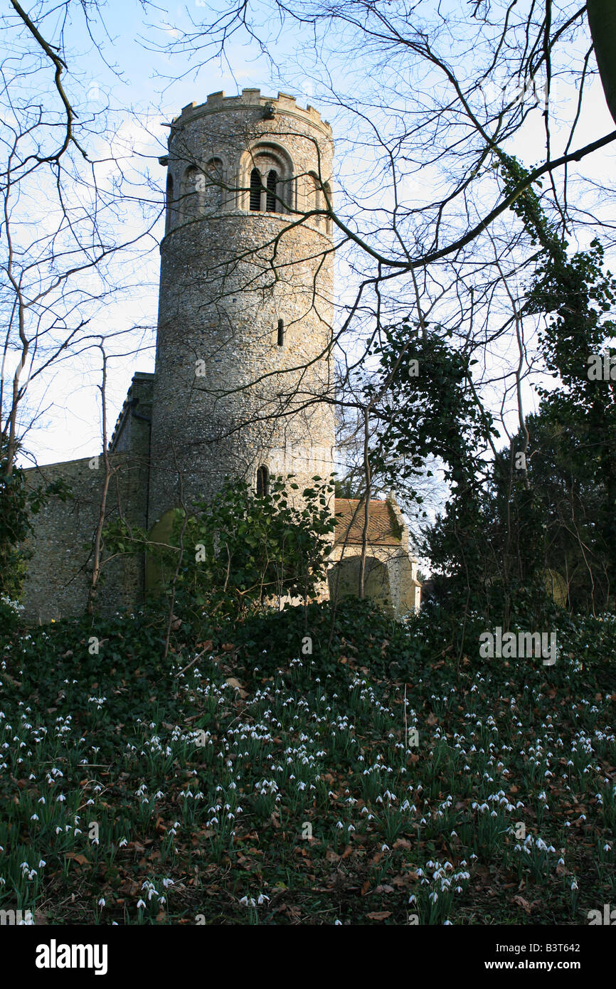 Saxham hi-res stock photography and images - Alamy
