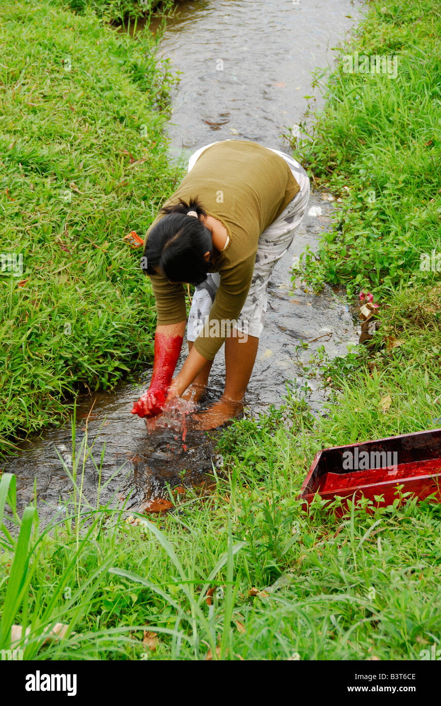 washing her hands of blood , female butcher after slaughtering water ...