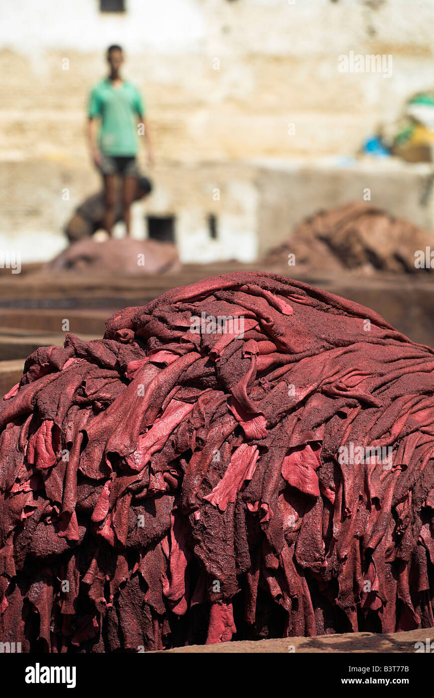 Animal skins put out dry hi-res stock photography and images - Alamy