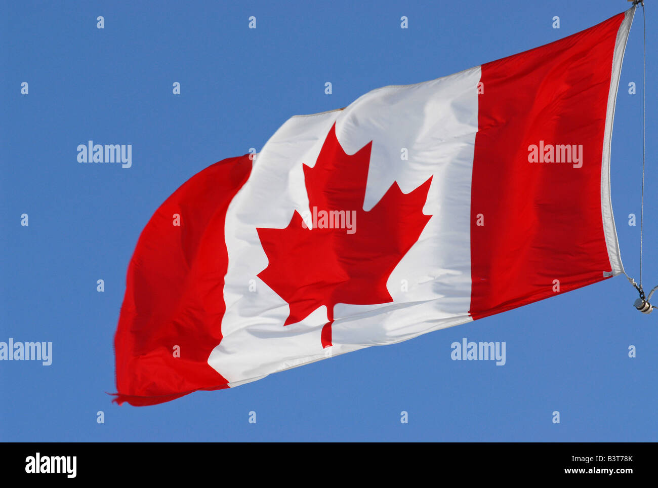 Canadian flag hi-res stock photography and images - Alamy