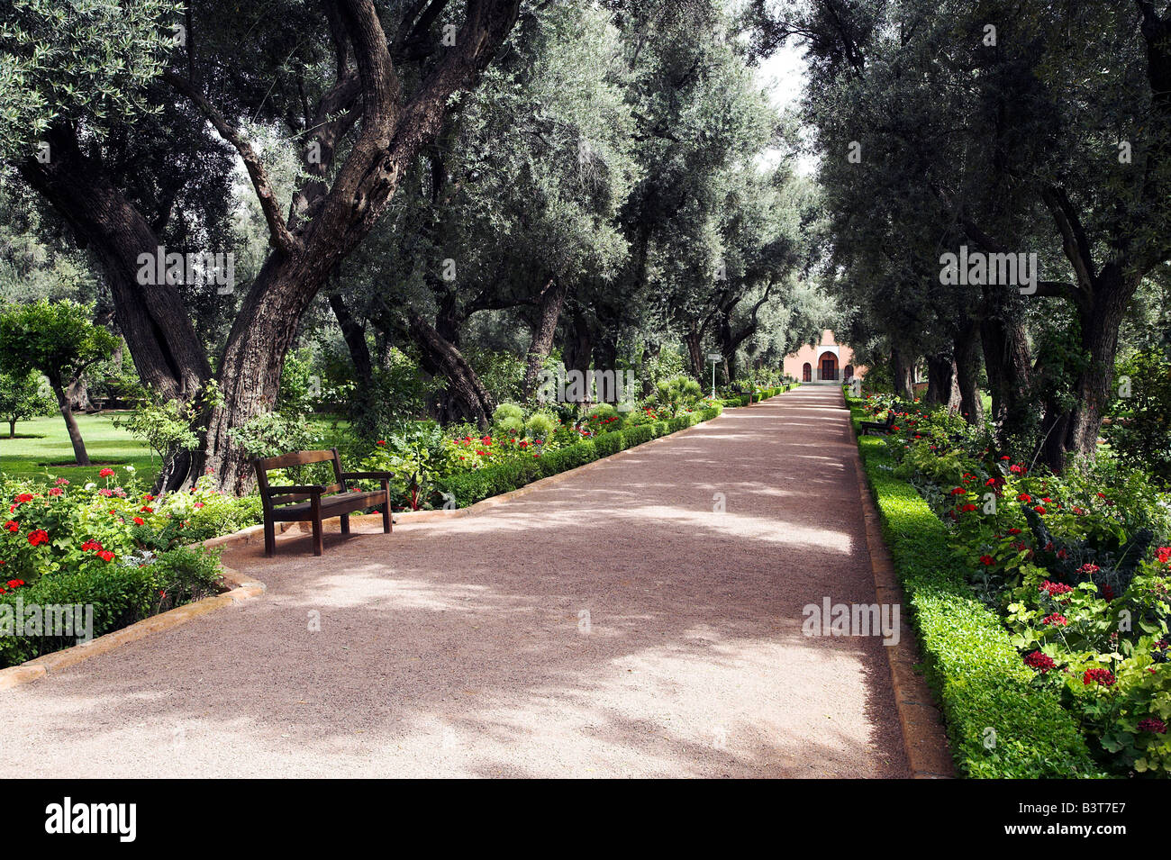 The gardens of the famous Mamounia hotel in Marrakech, Morocco Stock ...