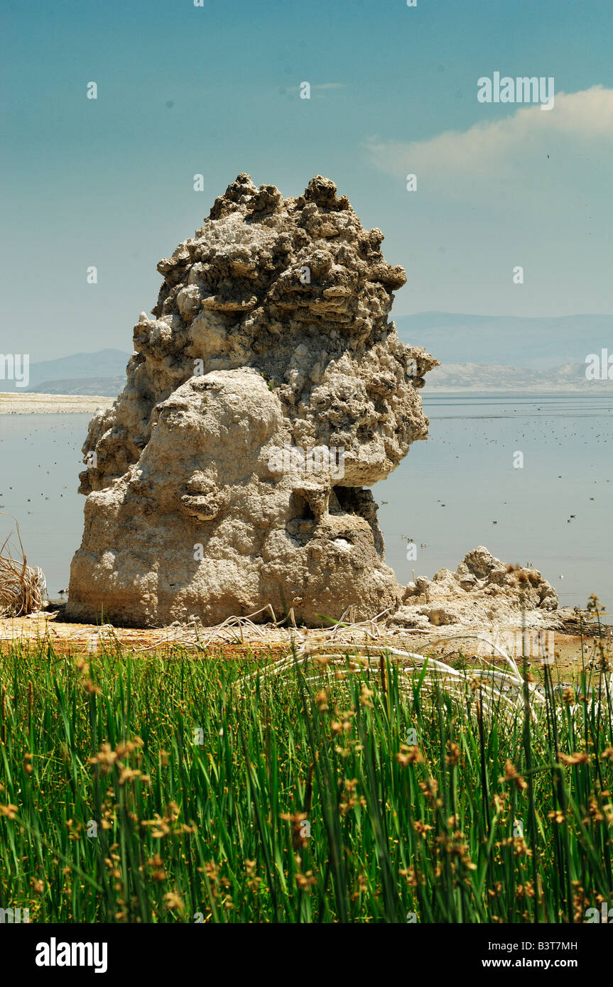 General landscape of Mono Lake Stock Photo - Alamy