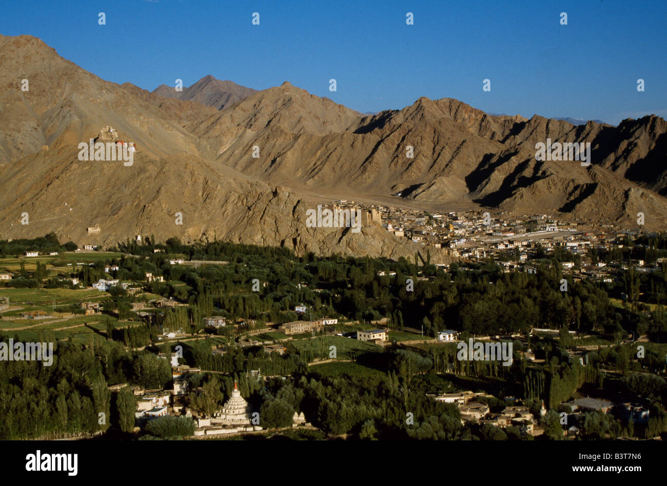India, Ladakh. View of Leh, capital of Ladakh in the Indus Valley Stock ...