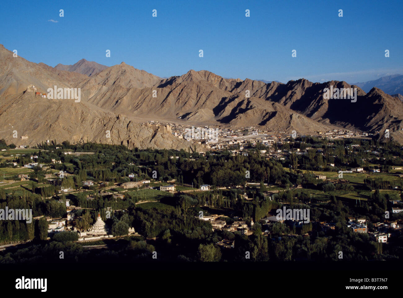 India, Ladakh. View of Leh, capital of Ladakh in the Indus Valley Stock ...