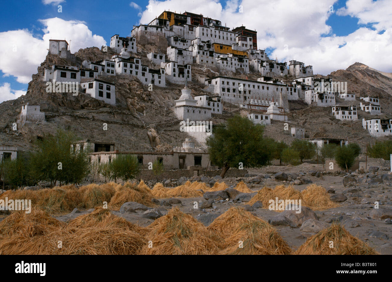 India, Ladakh, Thikse Monastery Stock Photo - Alamy