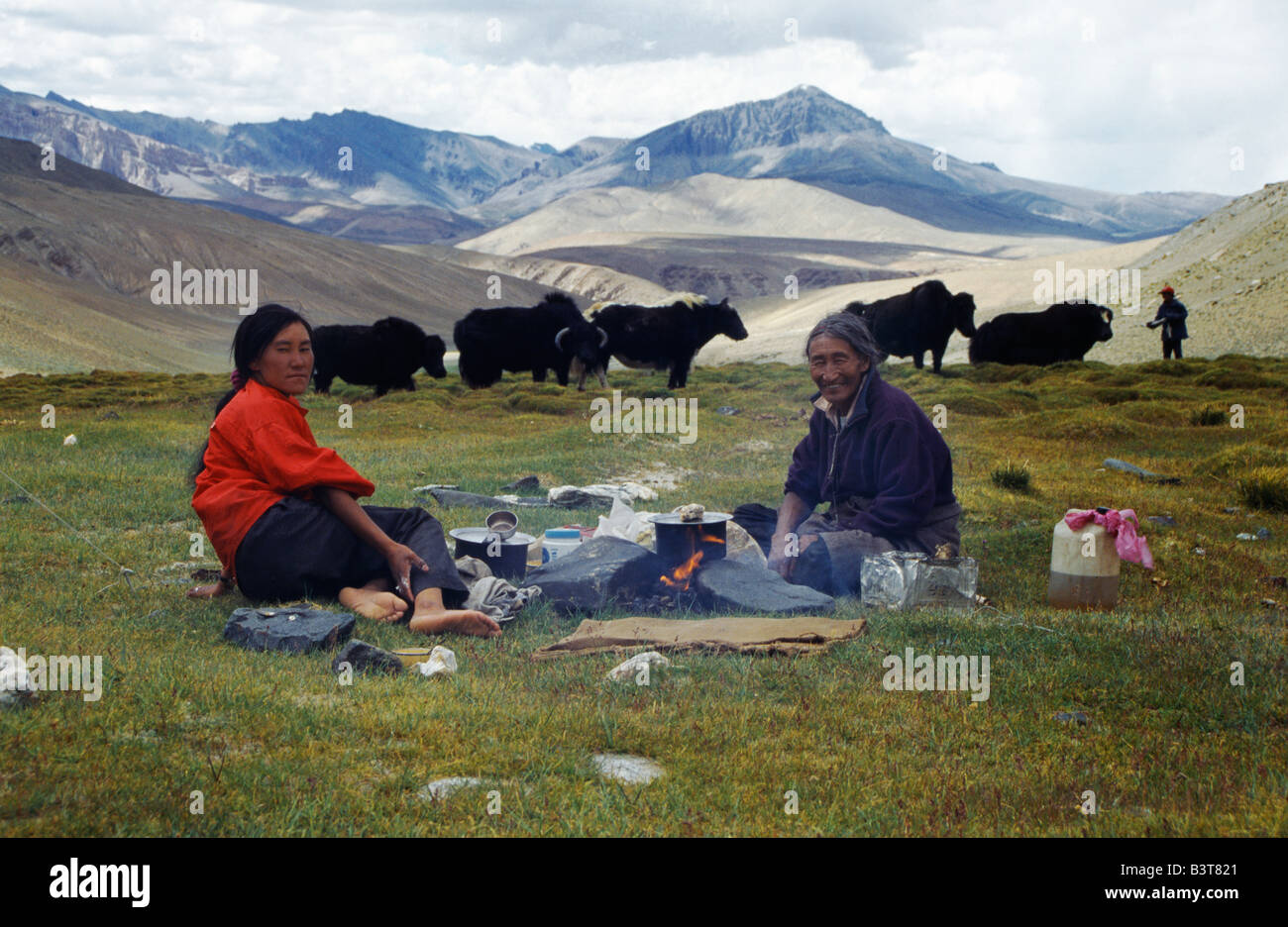 India, Ladakh, Rupshu Region. Tibetan nomads and yaks, Rupshu region of ...