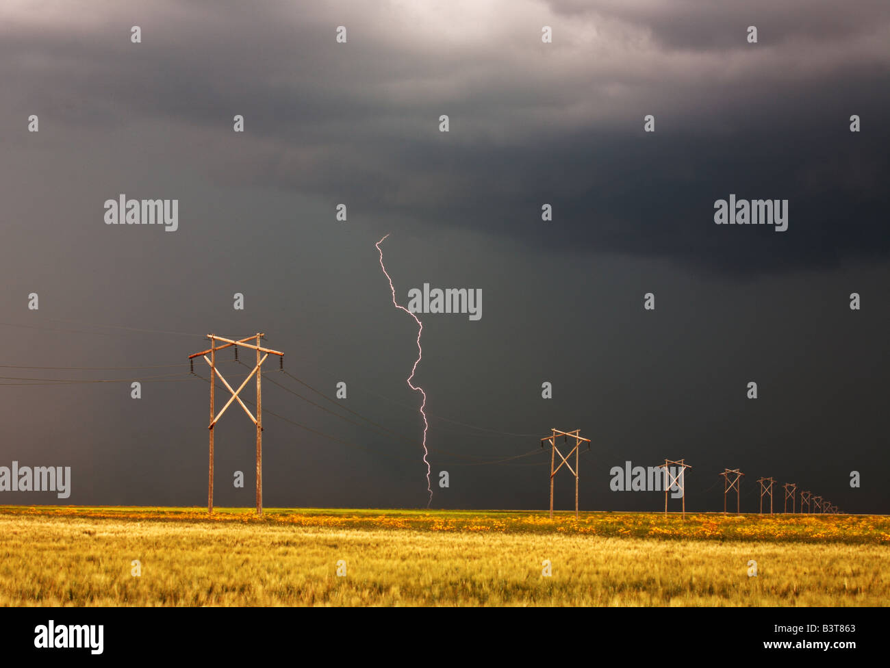 Lightning striking behind Saskatchewan power line Stock Photo - Alamy Lightning striking behind Saskatchewan power line Stock Photo - Alamy