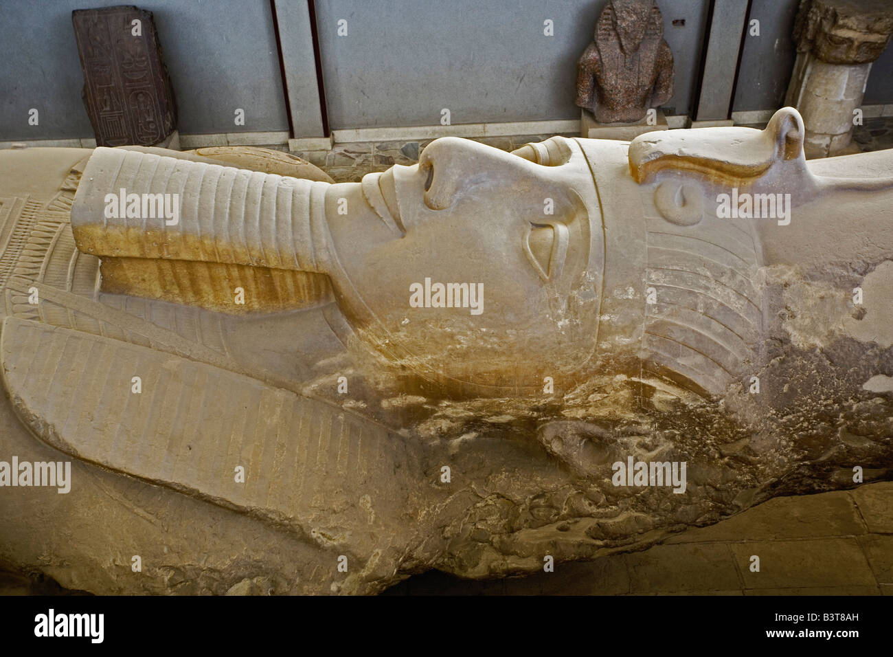 Colossus of Ramses II from the ancient city of Memphis, Cairo, Egypt ...