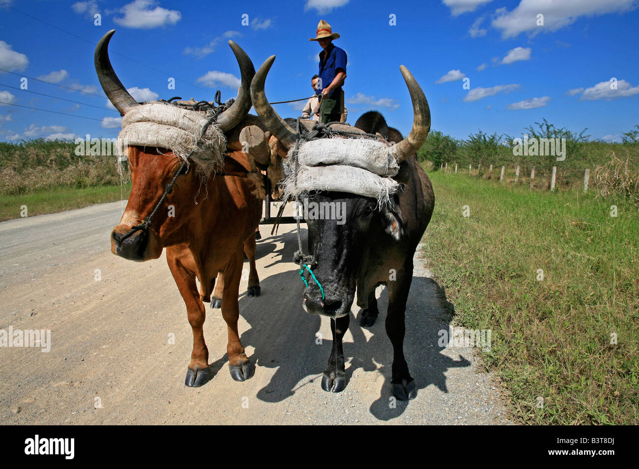 Campesino, South Coast, Playa Las Coloradas, Cuba island, West Indies ...