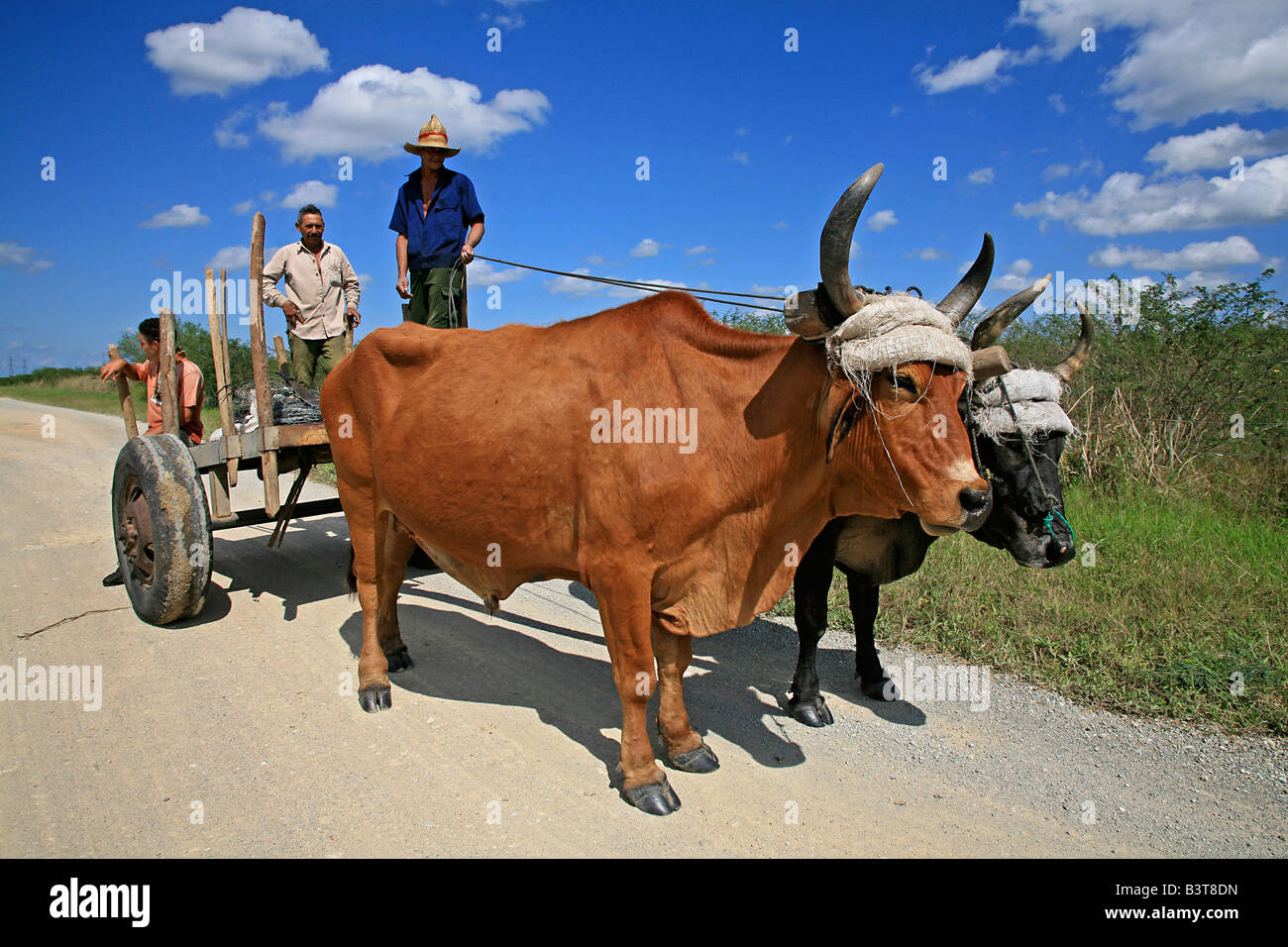 Campesino, South Coast, Playa Las Coloradas, Cuba island, West Indies ...