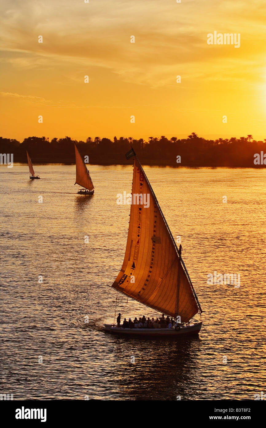 Faluka hi-res stock photography and images - Alamy