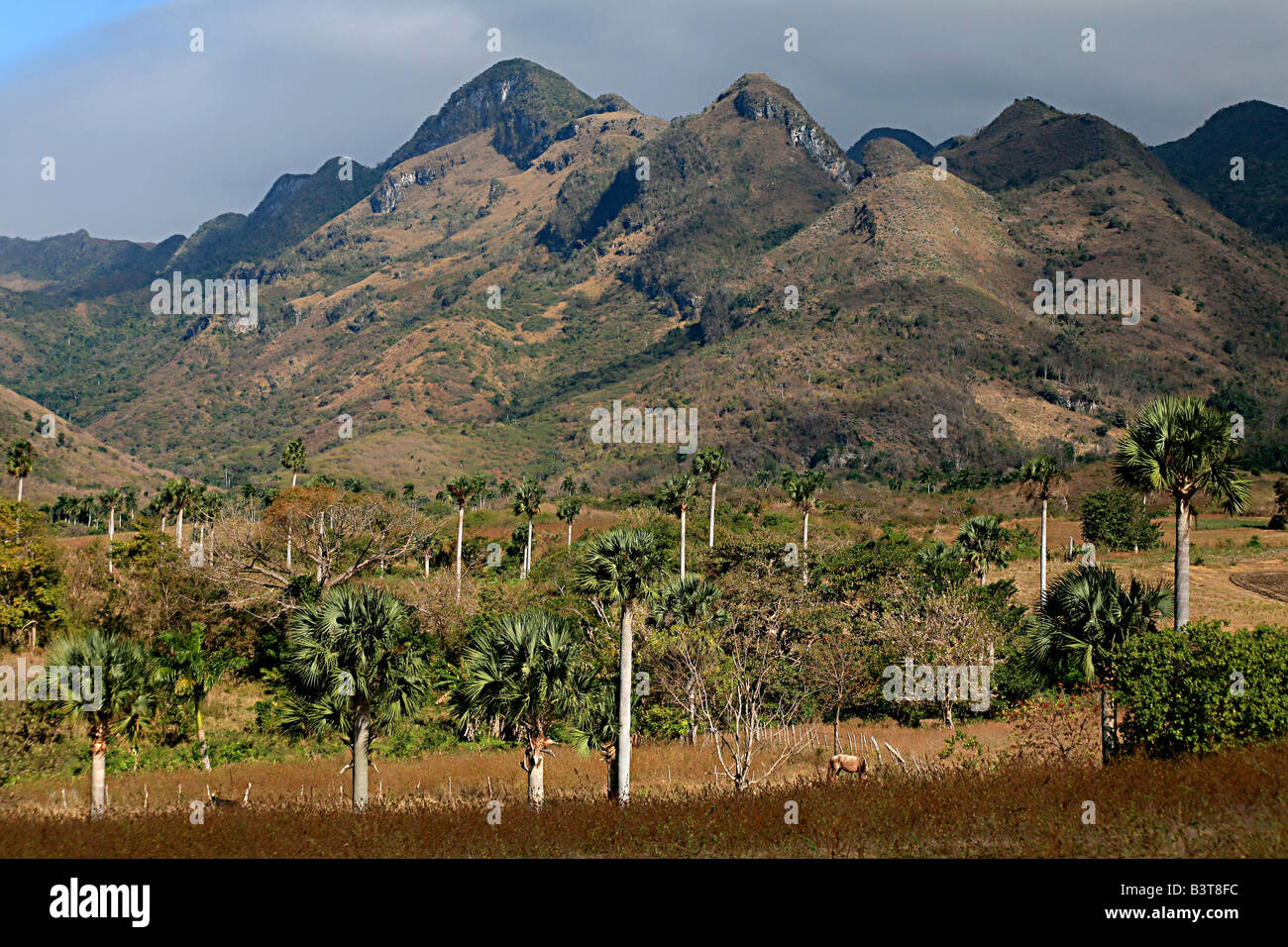 Landscape, Sierra del Escambray, South Coast, Playa Las Coloradas, Cuba ...
